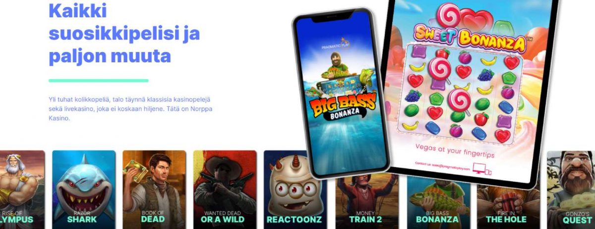 Norppa Kasino – runsaasti ilmaiskierroksia ja bonus 2024